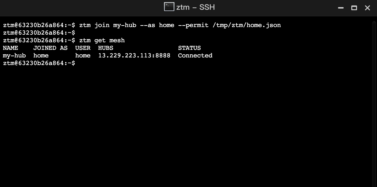 使用 ZTM 增强极空间 NAS 的远程访问能力![](https://atbug.oss-cn-hangzhou.al - 掘金